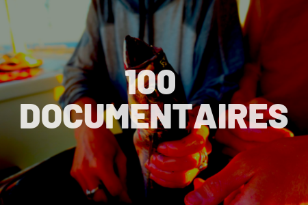Meilleurs Films Documentaires En Streaming Gratuits 2023 - KuB